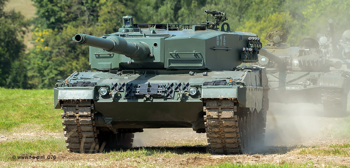 Polish Leopards
